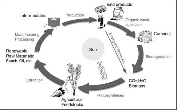 Do you know the definitions and performance of degradable? - Recycled ...